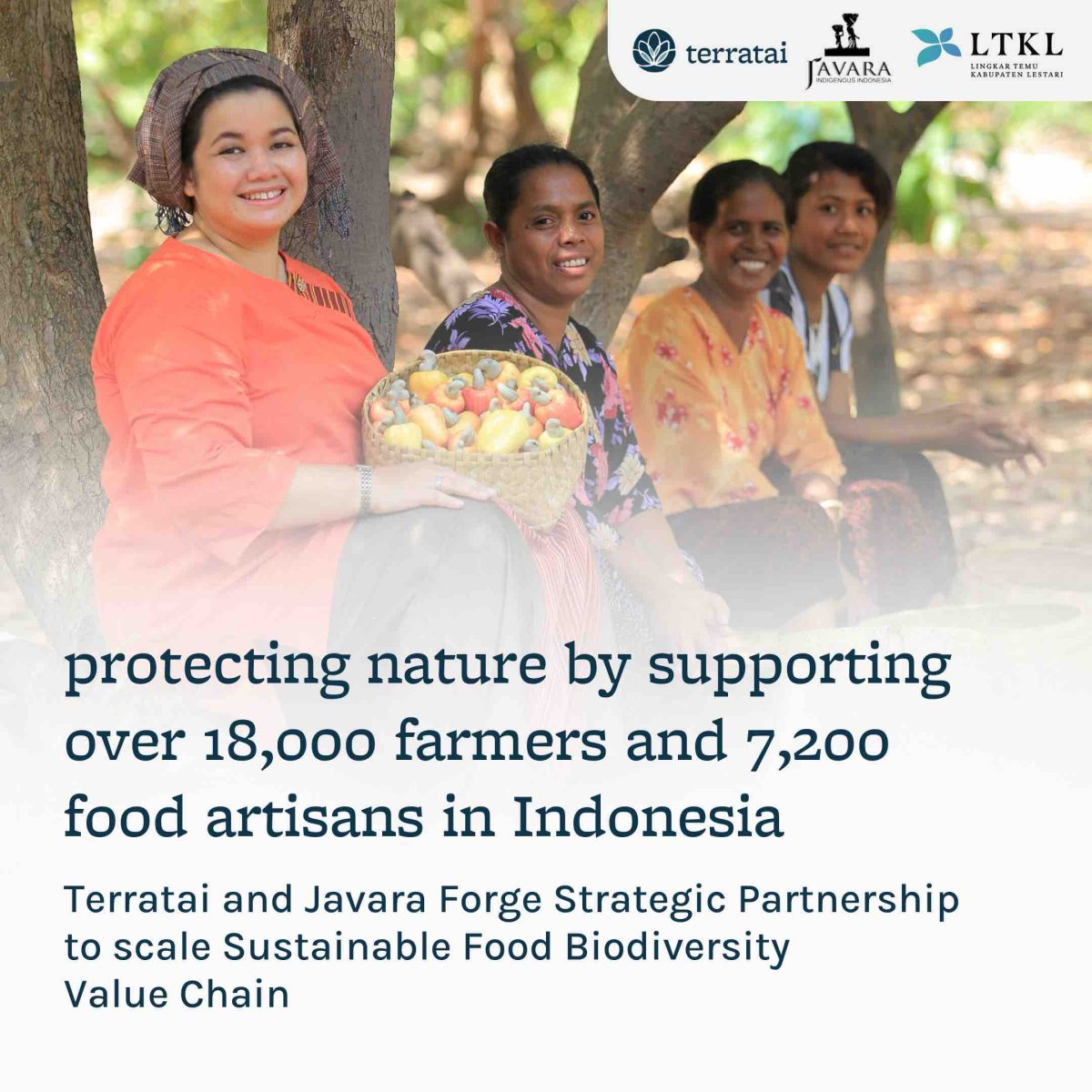 Protecting nature by supporting Indonesia’s farmers and food artisans ...